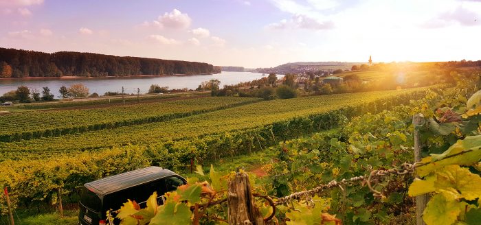 Riesling im Ultrapremiumbereich | W. E. Frank Wines